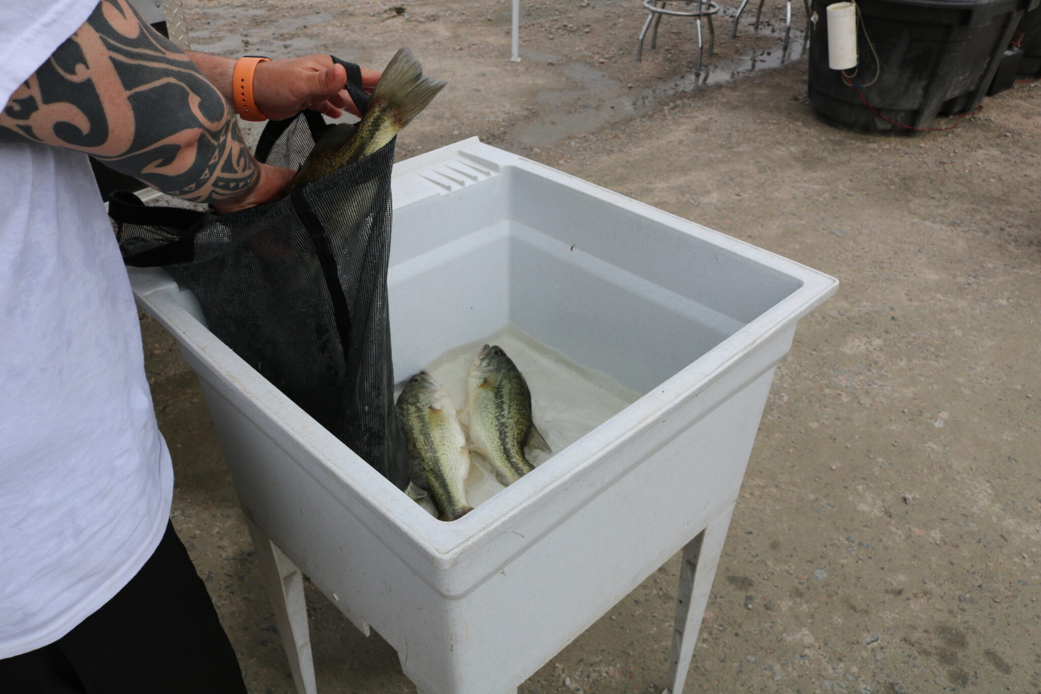 Daniel Boseman and Jordan Hughes take 1st Place On Kerr Lake - NC Bass ...